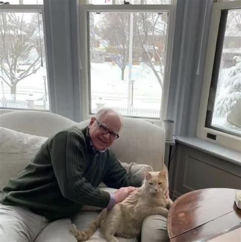 Tim Walz Is A Cat Guy Like What Album On Imgur