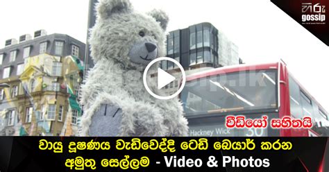 වායු දූෂණය වැඩිවෙද්දි ටෙඩි බෙයාර් කරන අමුතු සෙල්ලම Video And Photos