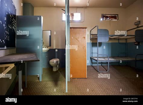 Prison Bunk Bed At Helen Shields Blog