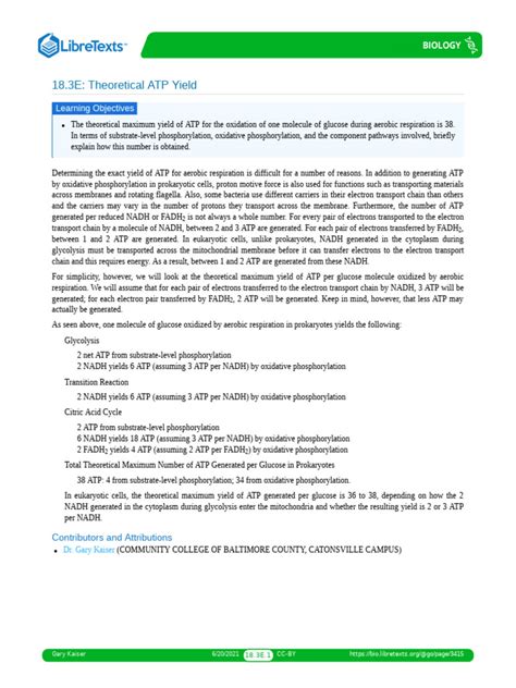 18 3e Theoretical Atp Yield Pdf Adenosine Triphosphate Cellular