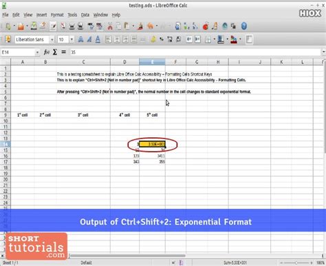 Exponential Format 2