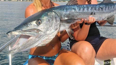 Dropping Massive Baits For Deep Sea Wreck Giants Youtube