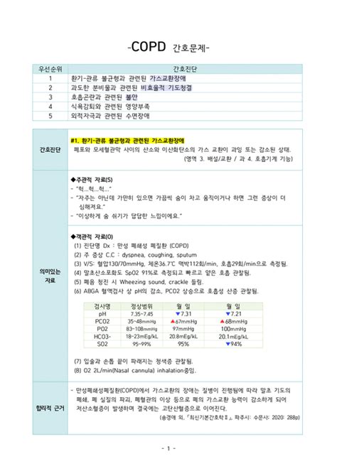 A 만성폐쇄성폐질환copd간호과정간호진단1가스교환장애 2 비효율적 기도청결 3불안 의약학