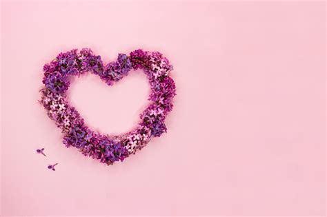 파스텔 핑크 배경에 마음의 모양의 아름다운 라일락 꽃입니다 맨 위 보기 공간을 복사합니다 꽃 나무에 대한 스톡 사진 및 기타