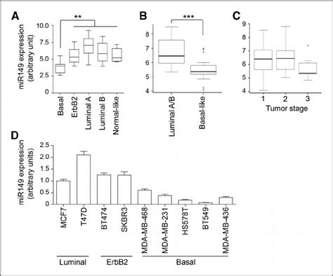 Reduced Expression Of Mir149 In Basal Breast Cancer A Boxplot Download Scientific Diagram