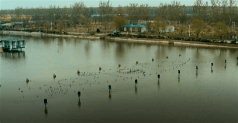 【看静海】一起逛静海：独流古镇——寻觅记忆中的 运河往事”节制闸历史水所