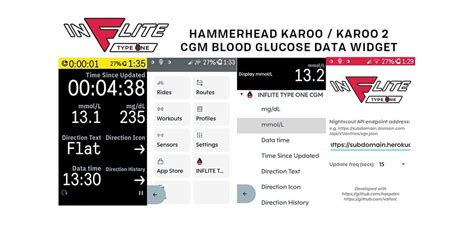 adding continuous glucose monitoring to karoo 2 r karoo