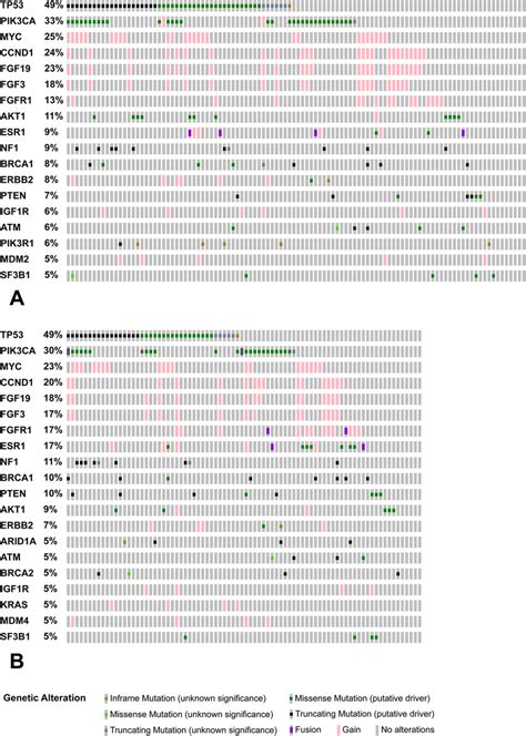 Distribution And Co Occurrence Of Recurrent Driver Genomic Alterations
