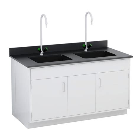 Double Basin Laboratory Sink Station Sset