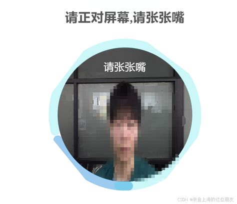 构建 effet js 人脸识别交互系统的实战之路 csdn博客