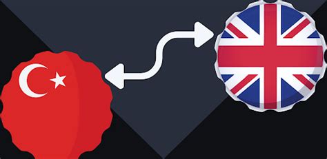 Turkish English Translator App Android App