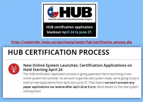 do programming hub certificate value techgallary