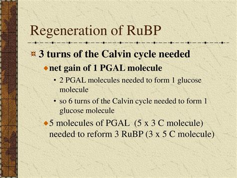 Chapter 7 Photosynthesis Ppt Download