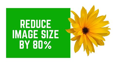 How To Reduce Image Size Without Losing Quality Using Imageresizer