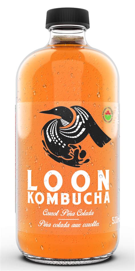 Kombucha 12 Packs For Sale Loon Kombucha