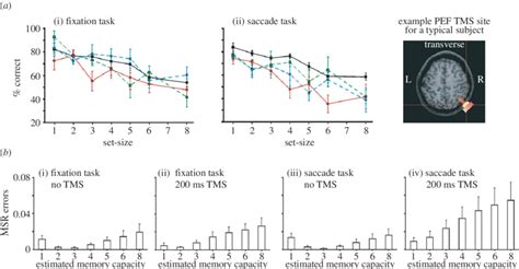 Main Results Of Right PEF TMS Modified From The Experimental Download Scientific