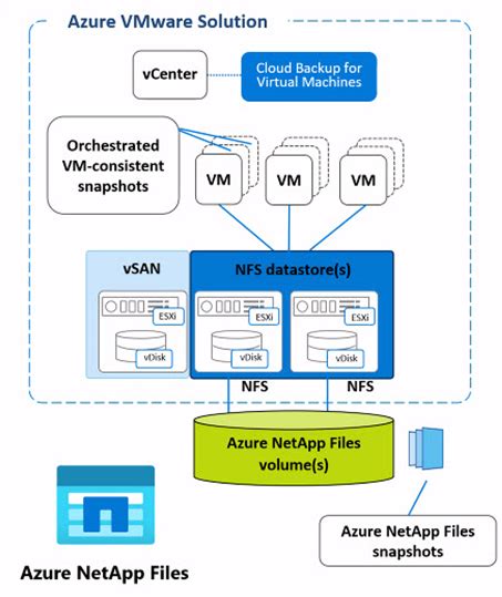 Protecting Azure Vmware Solution Vms And Datastores On Azure Netapp Files With Cloud Backup For Vms