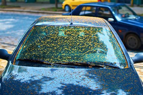 How To Get Sap Off A Car A Detailed Guide