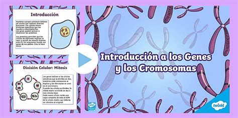 Presentación Escolar Genes Y Cromosomas Twinkl Colombia