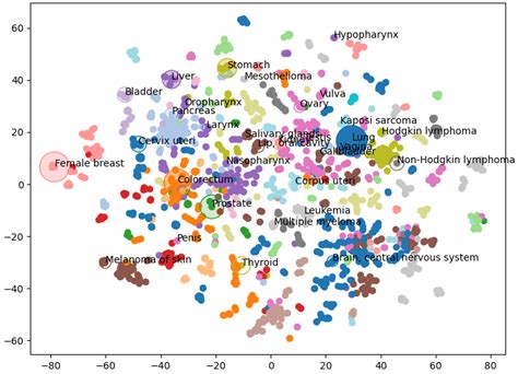 Interactive And Dynamic Force Directed Graphs With D3 By Robin Weser