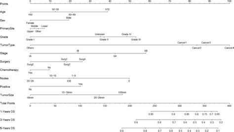 Prognostic Nomograms Of 1 3 And 5 Year Os Download Scientific Diagram