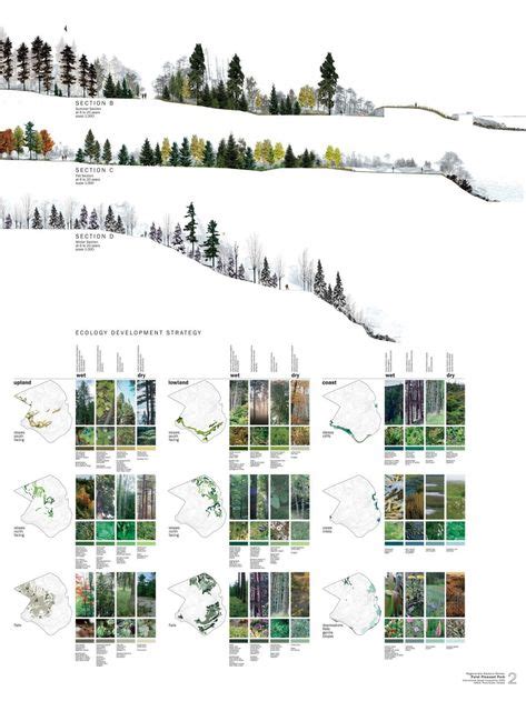 8 Best Transect Images Landscape Diagram Site Analysis Architecture