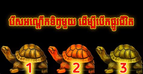 ជ្រើសរើស អណ្តើកទិព្វ ដើម្បី ទទួល យក សារ បើក ផ្លូវ ជីវិតអ្នក នៅ ពេល ខាង មុខ Knongsrok