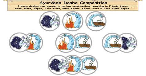 Ayurveda Dosha Composition Seven Body Types