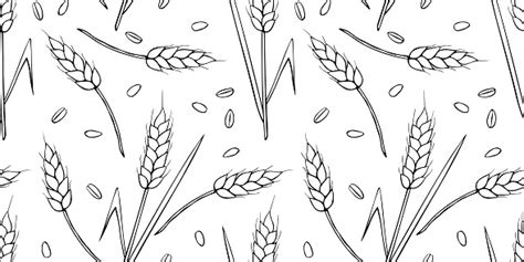 밀 스파이크렛과 곡물 벡터 원활한 패턴 스케치 스타일로 그려진 윤곽선은 격리되었습니다 베이커리 제품 밀가루 수확 추수 감사절을 테마로 인쇄 포장지 포장 디자인 가을에 대한