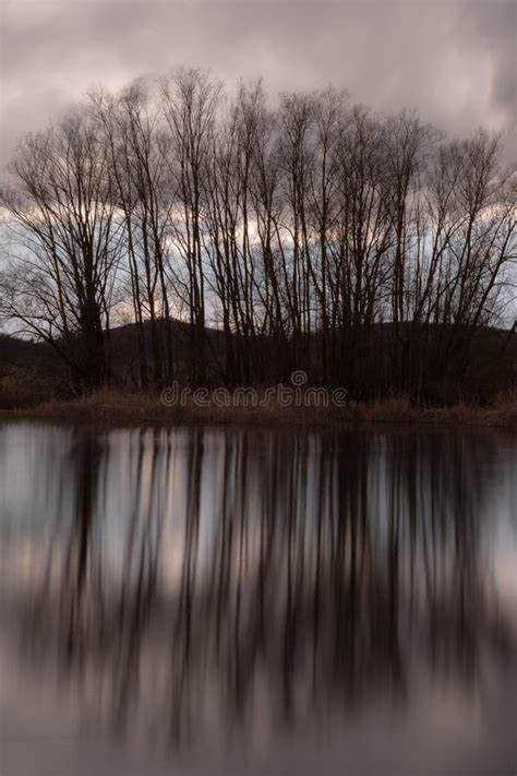 Perfectly Symmetric Trees Reflections On A Lake Stock Image Image Of