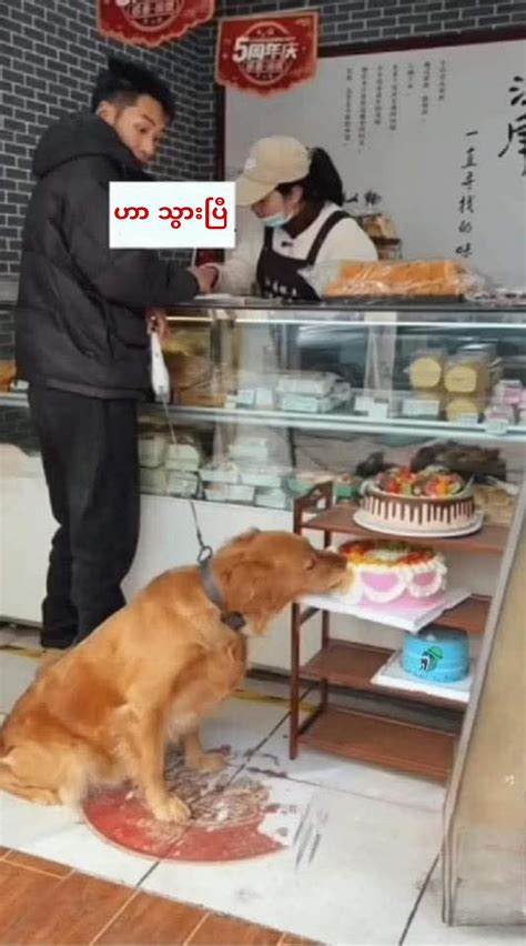 Casper Lin Vlog Casper Lin Vlog Added A New Photo