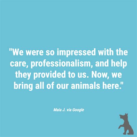 Sunnyside Pet Hospital We Know Just How Important Quality Care Is To