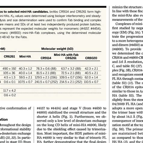 The Mini Ha Design Strategy And Key Candidates A The Mini Ha Design Download Scientific