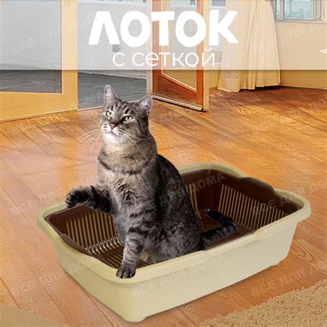 ВСЕ ДЛЯ ДОМА / Лоток для котят с сеткой маленький. Туалет лоток для ...