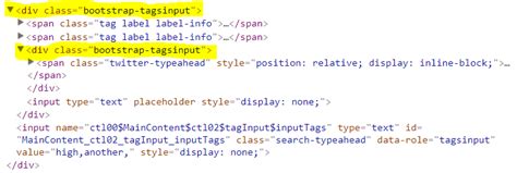Div With Class Bootstrap Tagsinput Generated Twice Causes A Bad Page