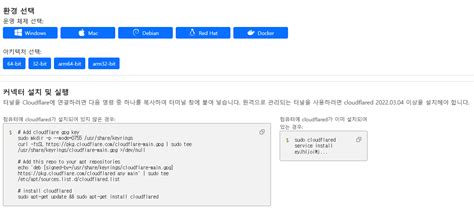 Cloudflared Tunnel 설정하기