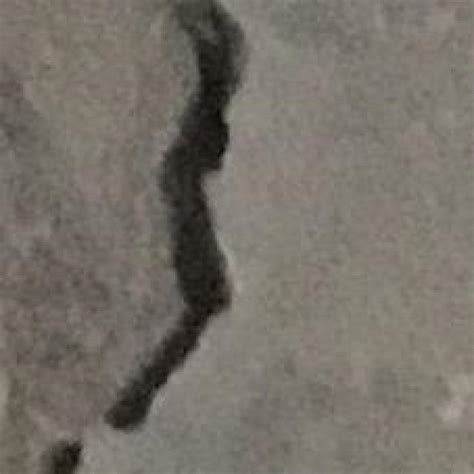 Wall Cracks Object Detection Dataset V1 2024 02 29 11 50am By Object