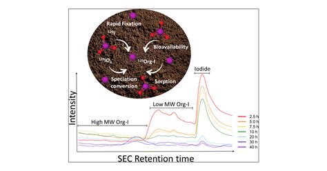 Short Term Iodine Dynamics In Soil Solution Environmental Science