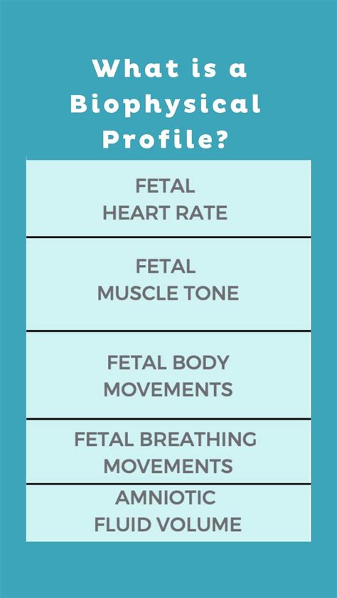 What Is A Biophysical Profile Test In Pregnancy — 4th Trimester Fitness Method