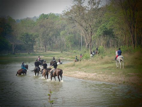 ศูนย์ฝึกขี่ม้า กรมทหารราบที่ ๒๑ รักษาพระองค์ Nqg Navamintra Queen