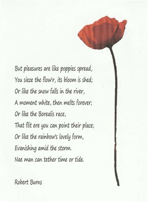67 Best The Genius Of Robert Burns Images On Pinterest Robert Burns