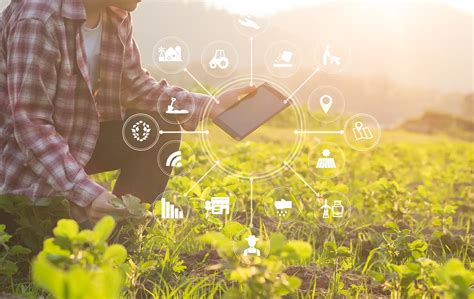 Determining Root Causes Why And How To Measure Food Loss And Wastewhy