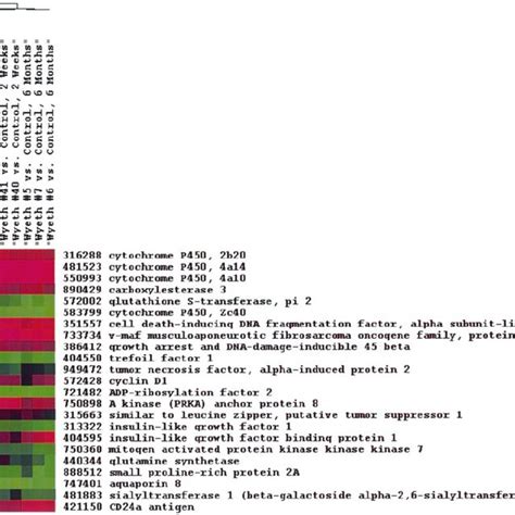 hierarchical clustering analysis of gene expression data from 23 cancer