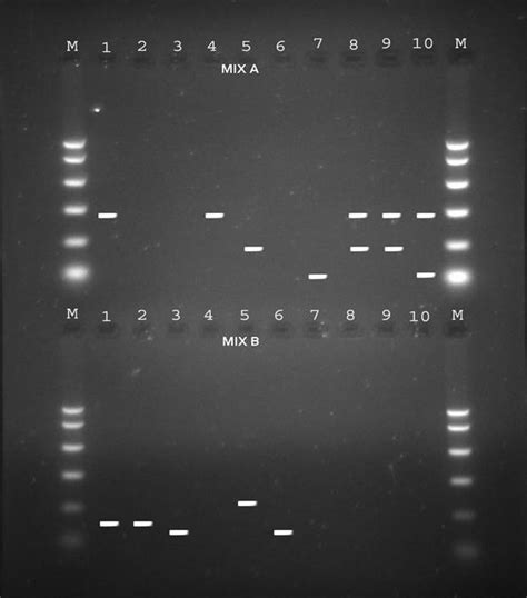 Seroprevalence Of Co Infection Of Hepatitis B And Hepatitis C Genotypes Among Adult Female