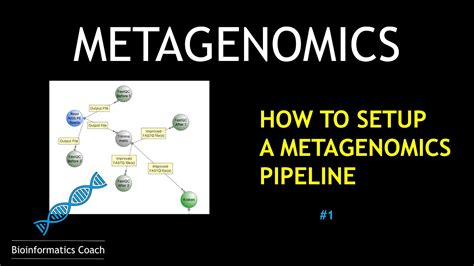How To Setup A Metagenomics Data Analysis Pipeline Using Anaconda Bioinformatics For Beginners