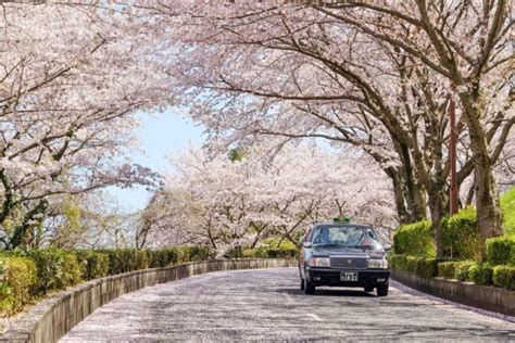 고토히라마루가메 프라이빗 택시 투어 플랜 4시간6시간 Kkday
