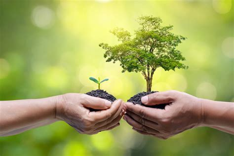 Pastoral da Ecologia Integral da Diocese de São Carlos convida fiéis