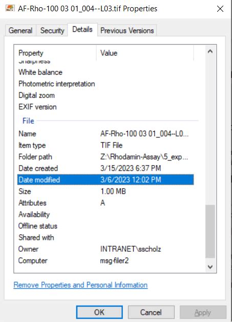 File Creation Date Cannot Be Conserved For Connected Remote File System