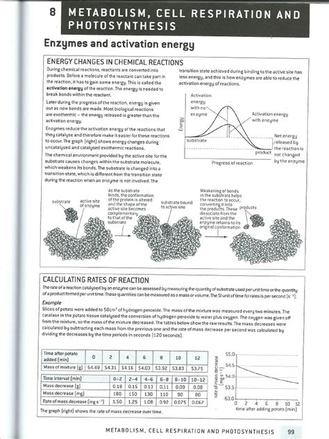 Enzymes And Atp Notes And Exercises Pdf