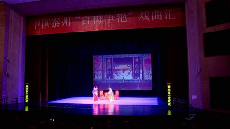 黄梅戏代表作《女驸马》在泰州精彩上演荔枝网新闻